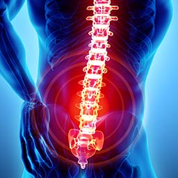 Lumbar Guard Max™ - Back Brace for Lower Back Pain Relief – RELIFF AU